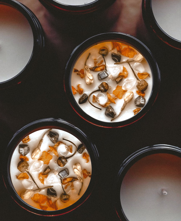 アルケミストコー[Alchemist + Co]公式オンラインストア – Alchemist + Co JP